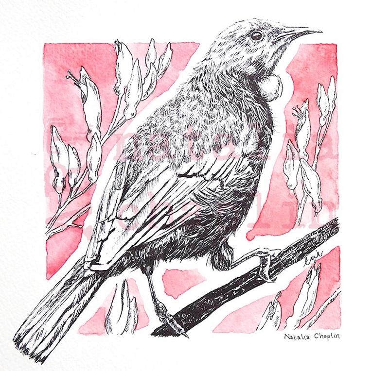Natalia Chaplin - Artist at Wanaka Fine Art Gallery
