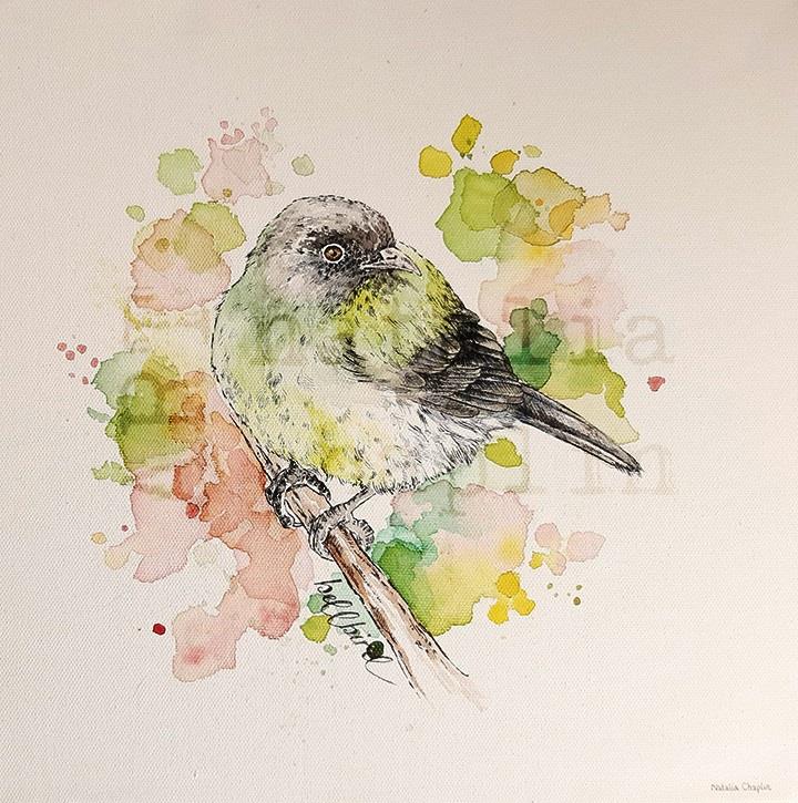 Natalia Chaplin - Artist at Wanaka Fine Art Gallery