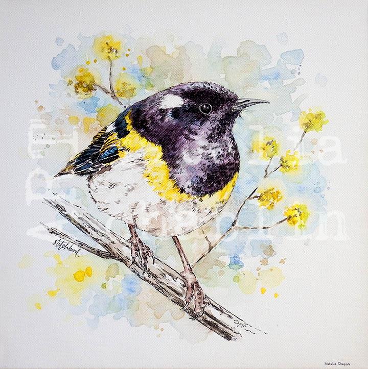 Natalia Chaplin - Artist at Wanaka Fine Art Gallery